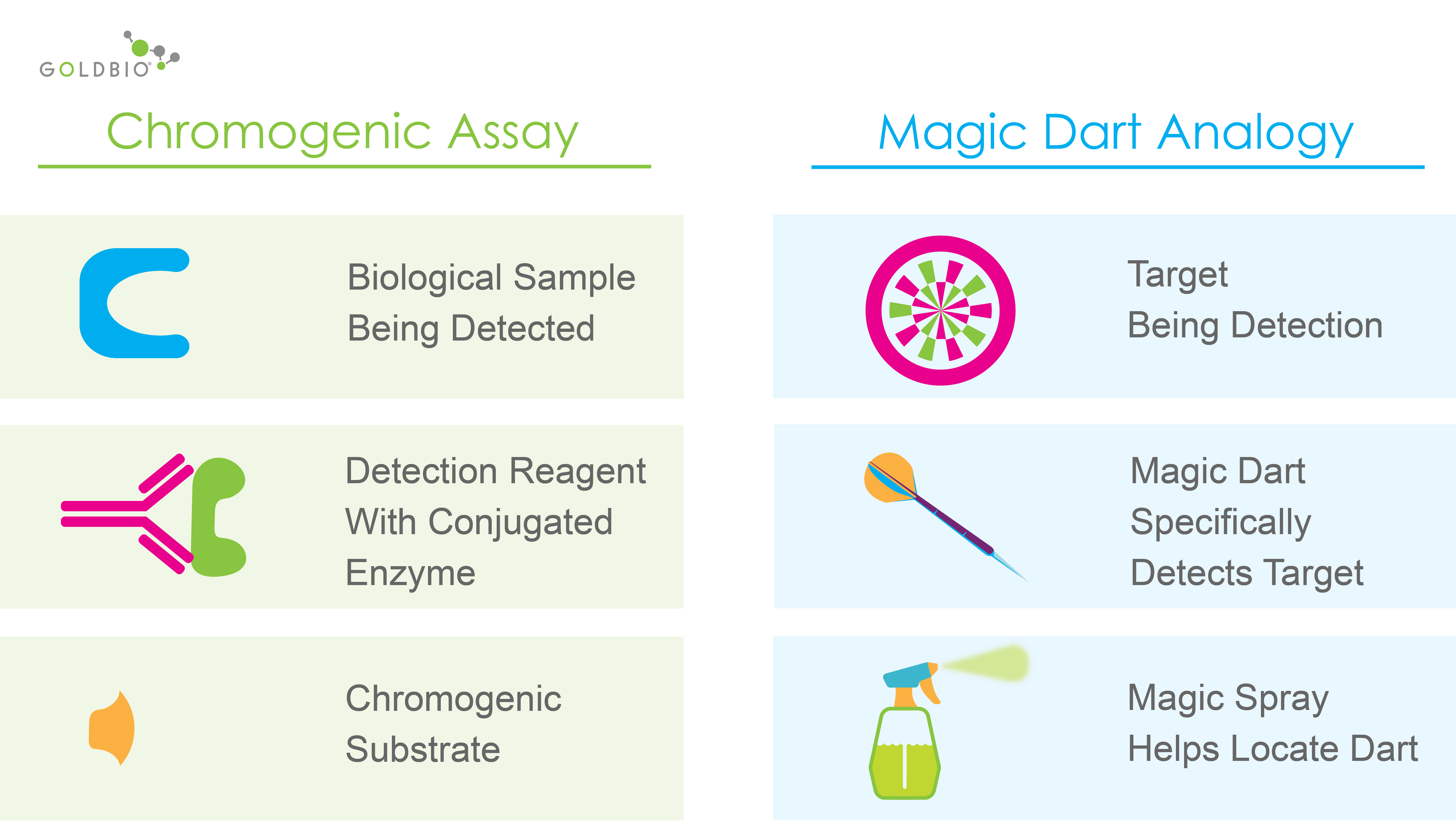 Chromogenic Assays What They Are And How They Are Used In Research 